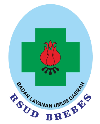 API RSUD BREBES